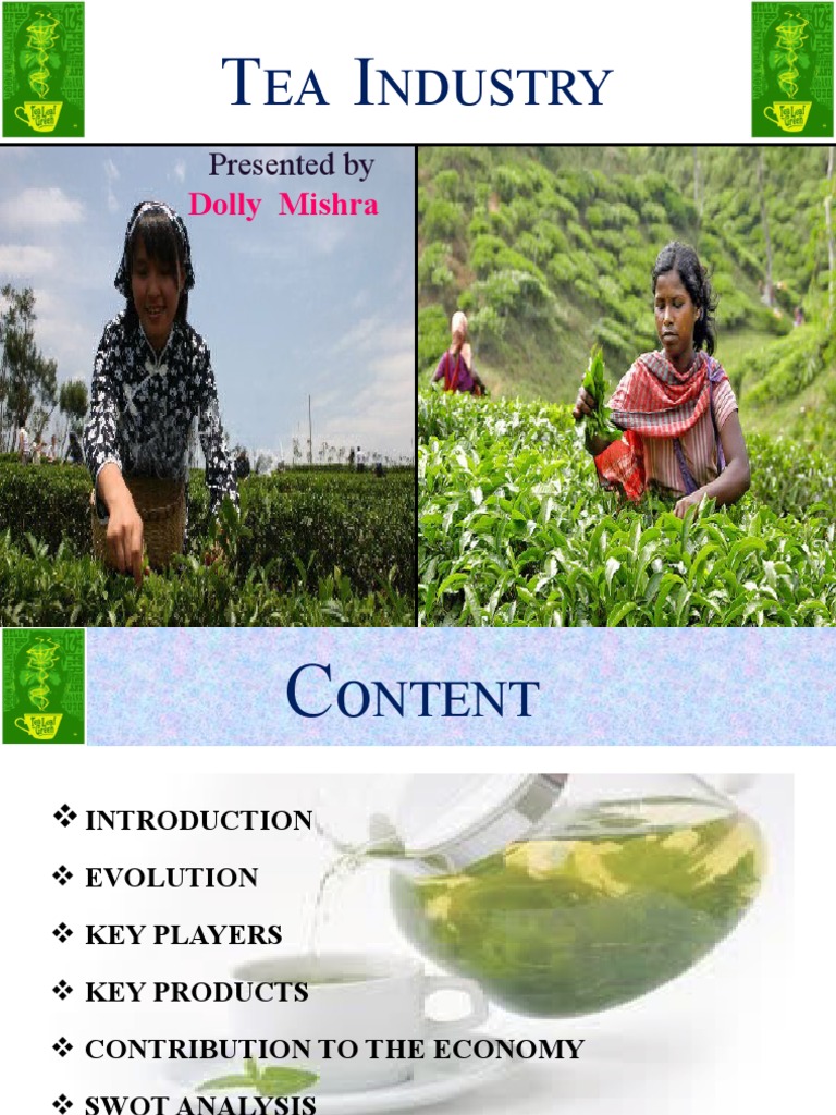 India's Tea Industry: A 170-Year Evolution | PDF | Tea | Economies