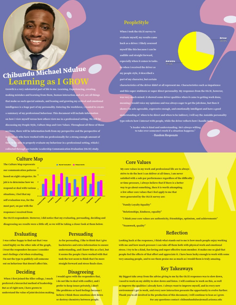 Professional Persona Summary | PDF | Value (Ethics) | Feeling