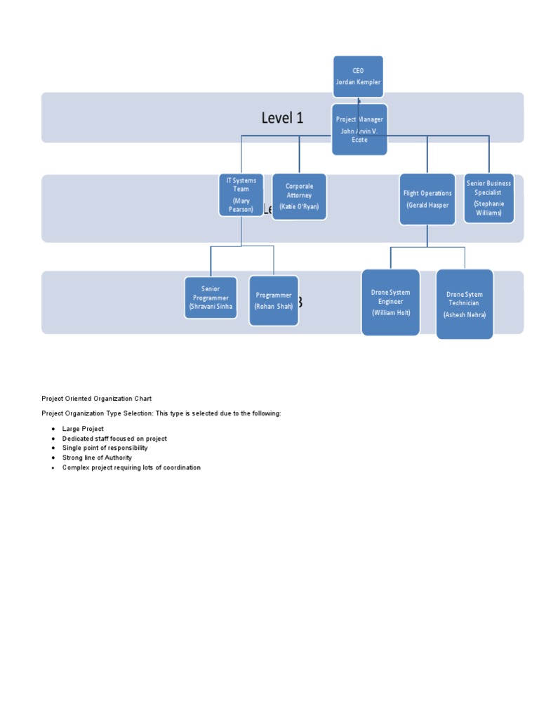 Project Oriented Organization Chart | PDF