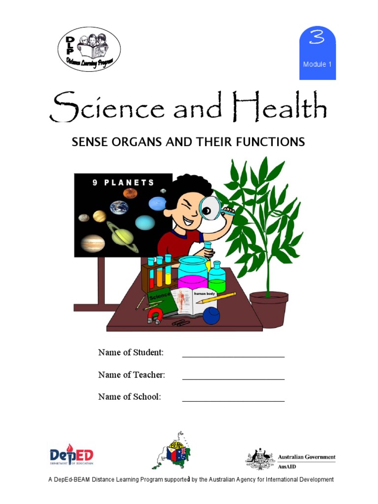 Science 3 DLP 1 - Sense Organs and Their Functions | PDF | Senses ...
