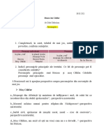Rezumat Platanos - de Doina Ruști | PDF