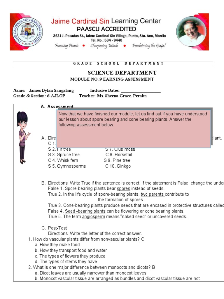 Script AP | PDF | Plant Stem | Plants
