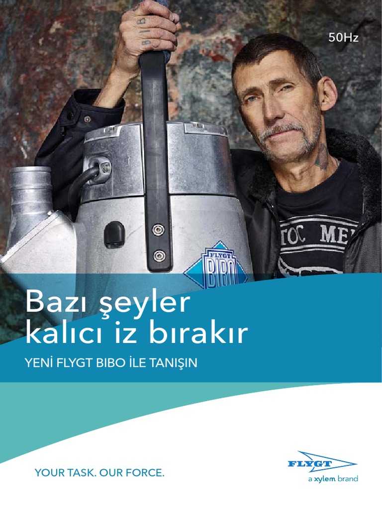 Flygt 2800 Seri BIBO Pompalar | PDF