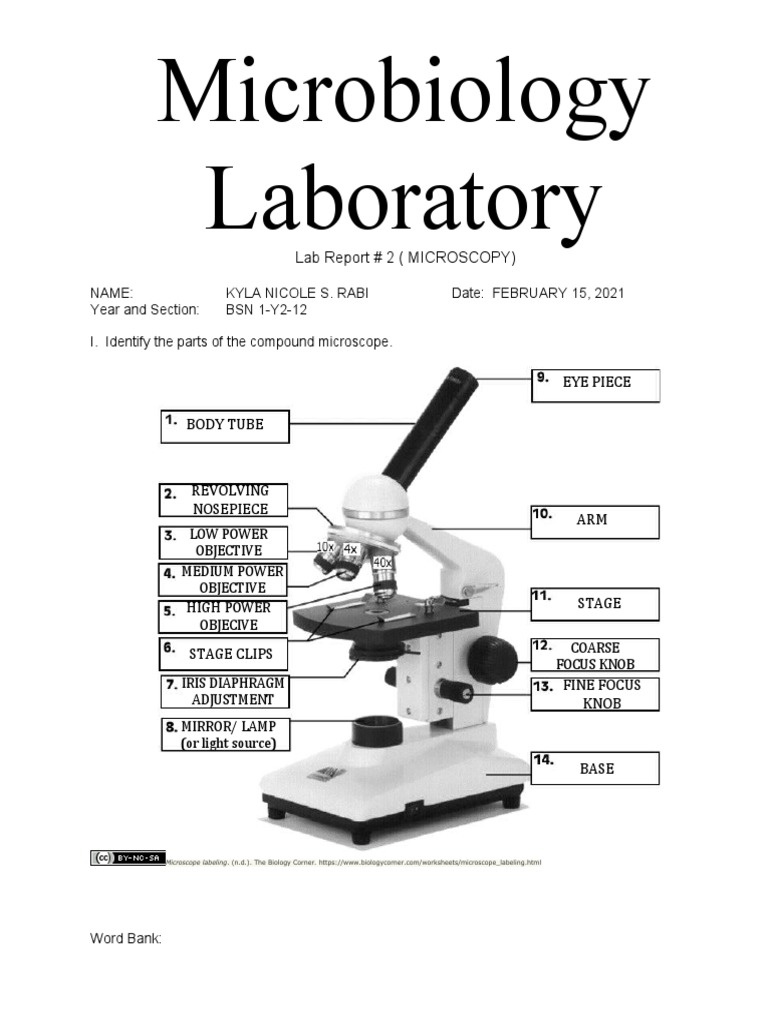 Microbiology Laboratory: Lab Report # 2 (MICROSCOPY) | PDF | Equipment ...