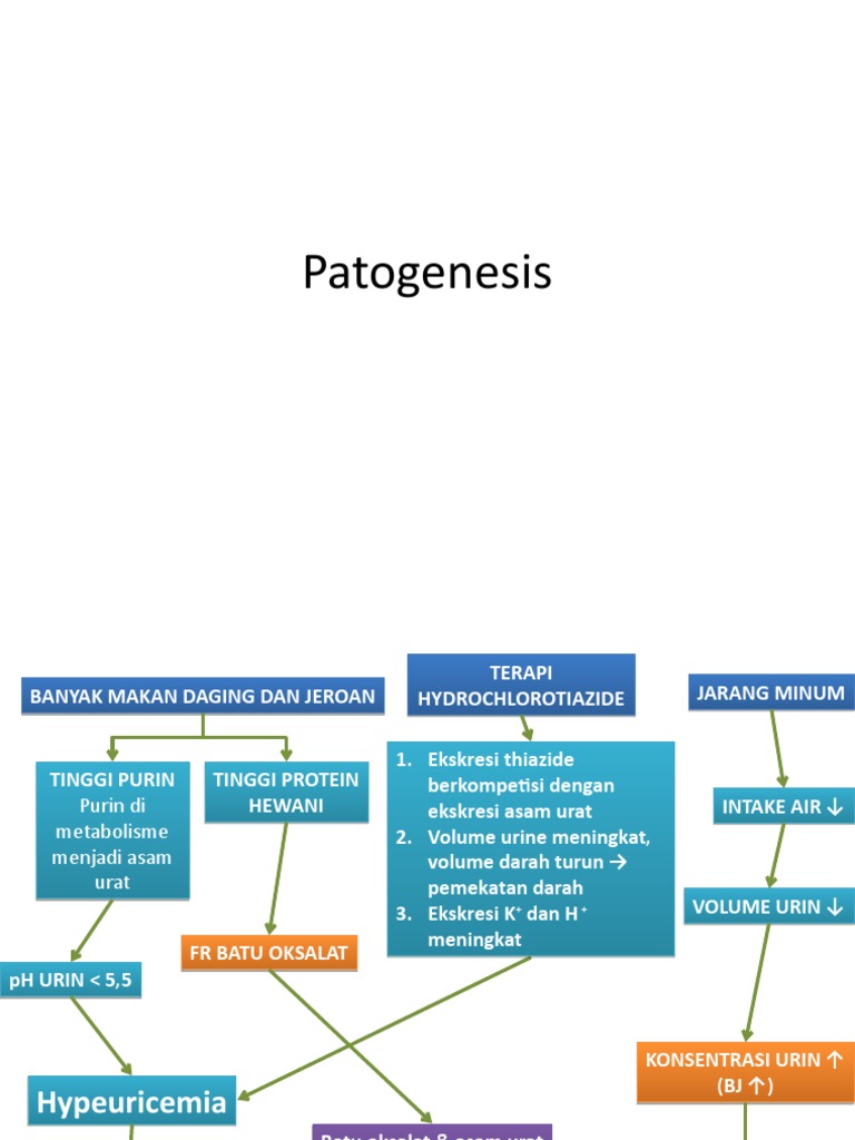 Patogenesis & Patfis Urolithiasis | PDF