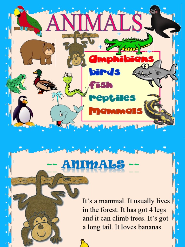 Animal Characteristics Worksheet | PDF