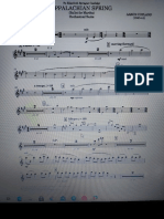 As Time Flies - Tyrique | PDF