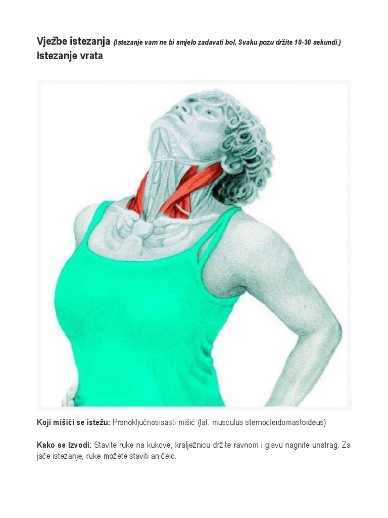 Vjezbe Istezanja | PDF