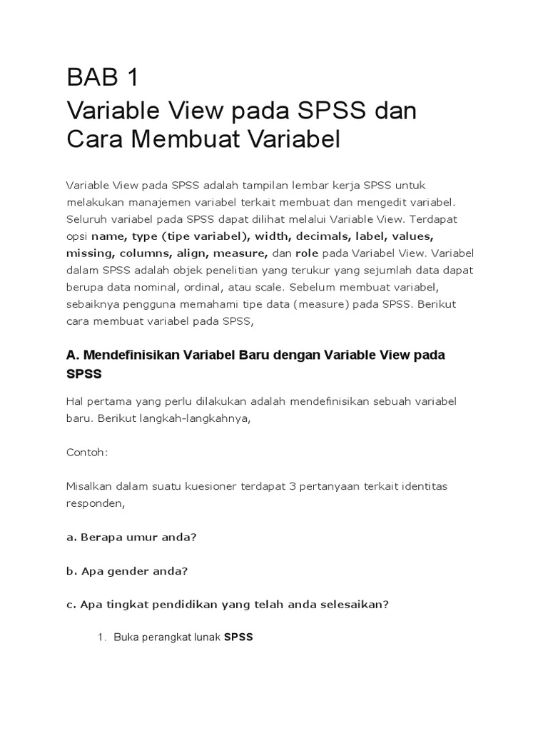 Bag 1 E Variable View Pada Spss Dan Cara Membuat Variabel Pdf