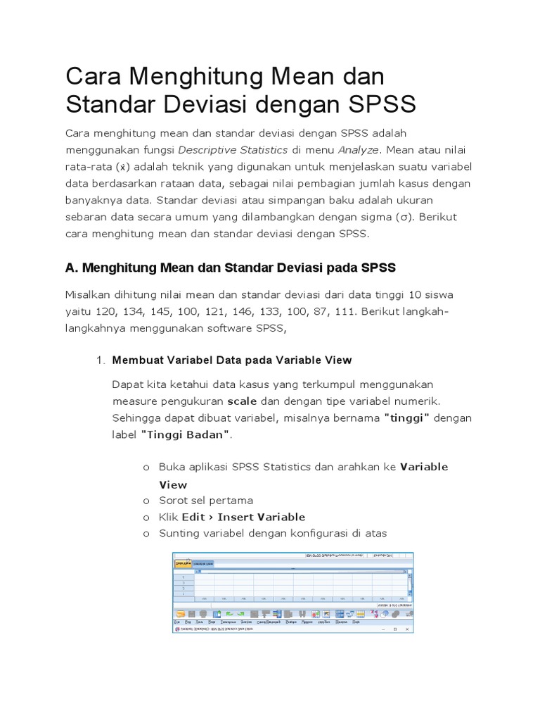 Bag - 2 - 2 - Cara Menghitung Mean Dan Standar Deviasi Dengan SPSS | PDF