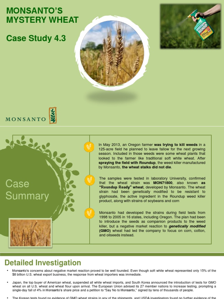 CSR Case Study Monsanto Wheat | PDF | Monsanto | Genetically Modified Crops