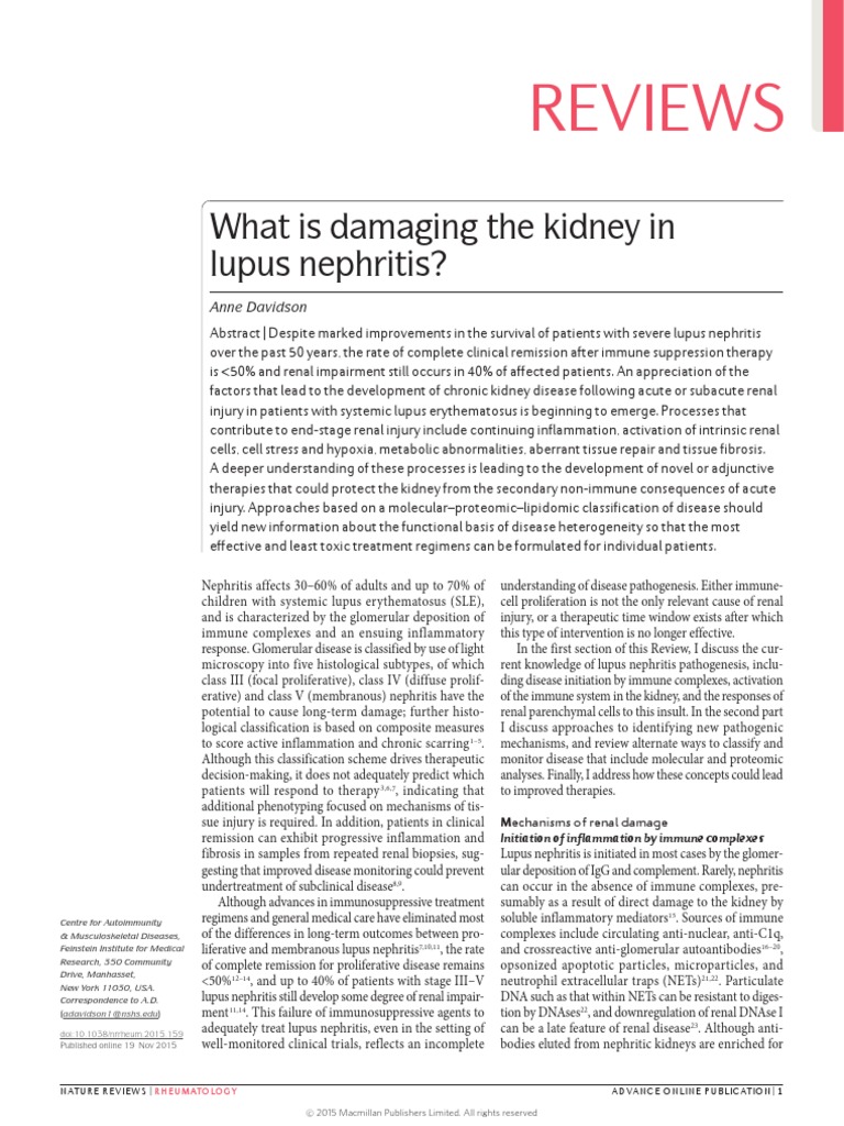 Reviews: What Is Damaging The Kidney in Lupus Nephritis? | PDF ...