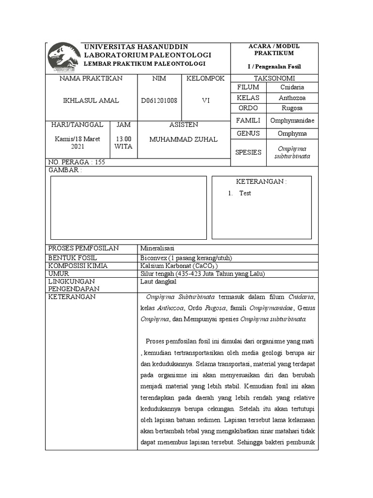 LKP Paleontologi Acara 1 Ikhlasul Amallll | PDF