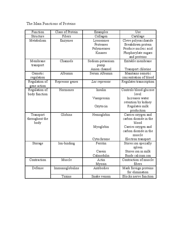 Main Functions of Protein | PDF | Proteins | Macromolecules
