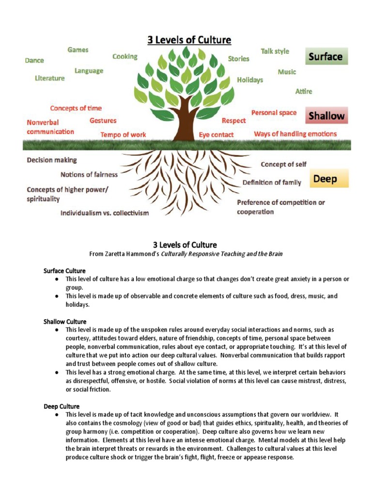 3 Levels of Culture Understanding Surface, Shallow, and Deep Cultural ...