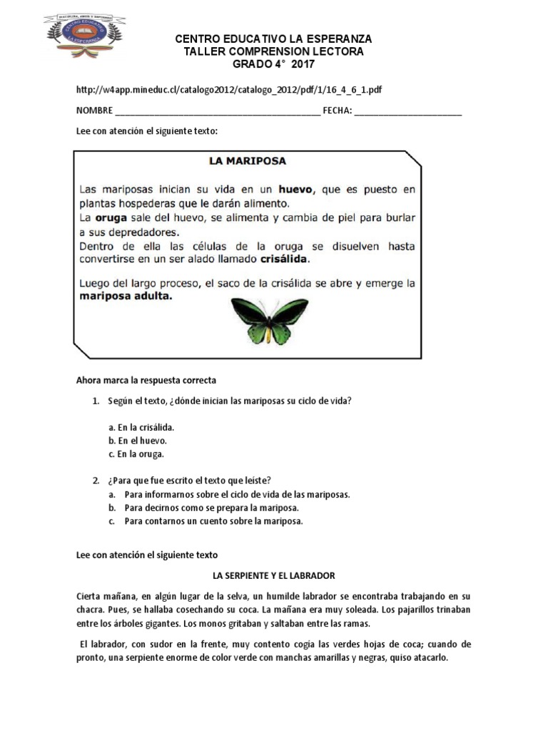 Taller de Comprensión Lectora Grado 4 | PDF | Cocina | Alimentos