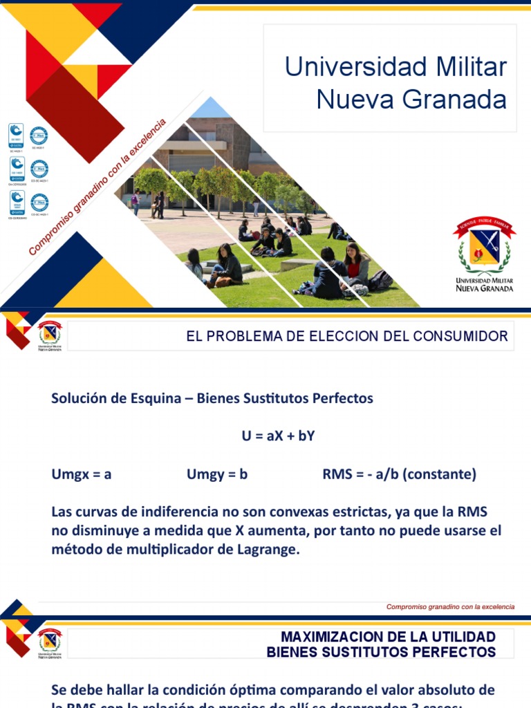 MAXIMIZACIÓN DE LA UTILIDAD - Sustitutos Perfectos y Complementarios ...