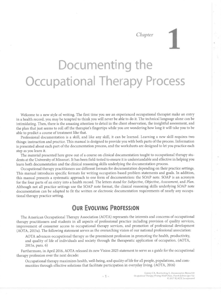 Documentation Manual For Writing SOAP Notes in Occupational Therapy | PDF