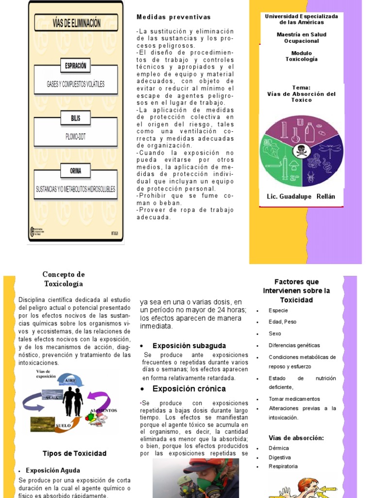 Triptico Sustancias Peligrosas | PDF | Toxicidad | Medicina