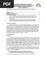 Guia de Registro Génerica SIRSI 2023 | PDF | Contraseña | Archivo de ...