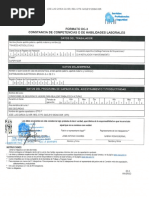 STPS - Formato DC-4 | PDF