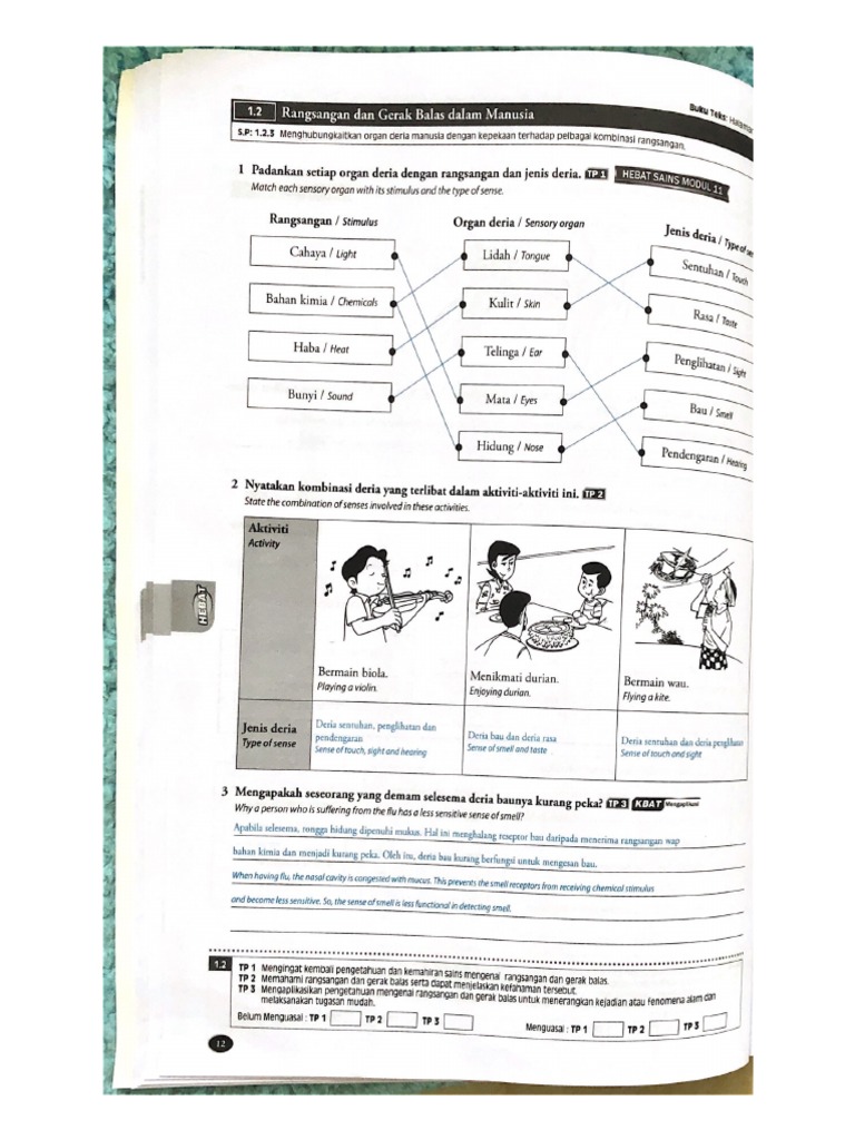 Rangsangan Dan Gerak Balas Dalam Manusia | PDF