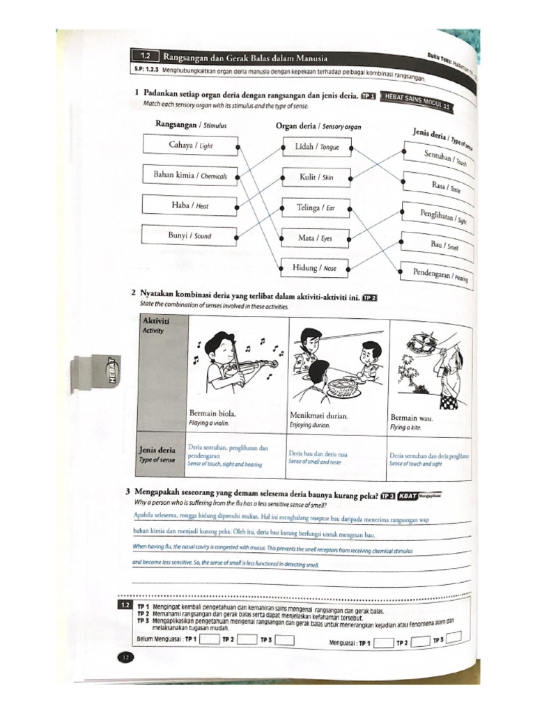 Rangsangan Dan Gerak Balas Dalam Manusia | PDF