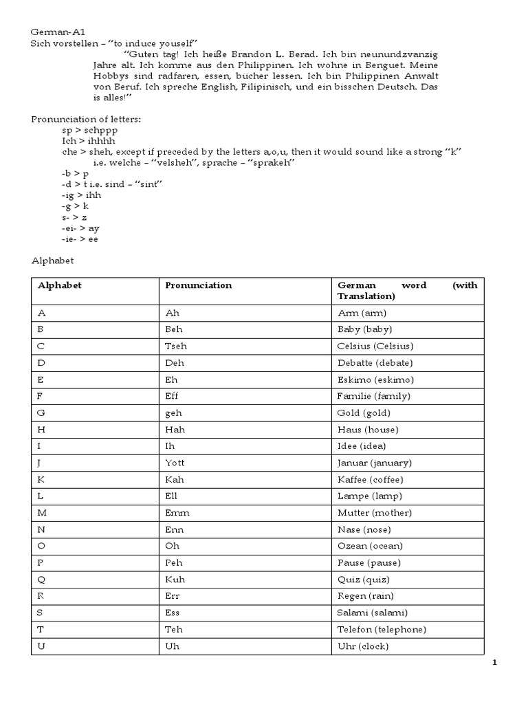 German Notes | PDF | Grammatical Gender | Verb