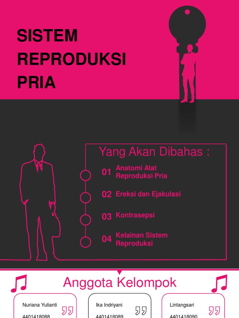 Kelompok 5 Sistem Reproduksi Pria | PDF