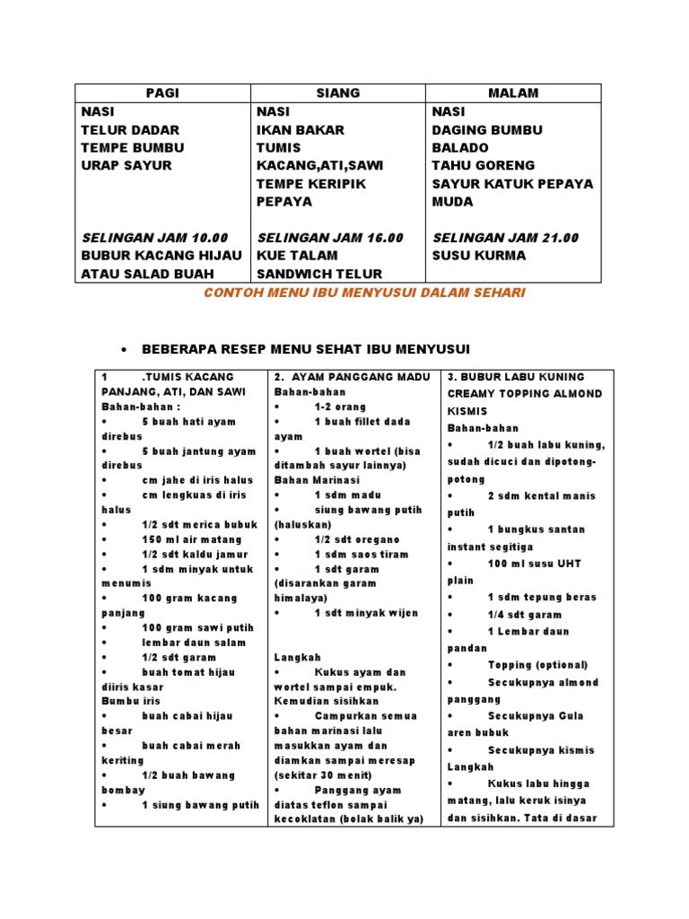 Contoh Beberapa Menu Sehat Untuk Ibu Menyusui | PDF