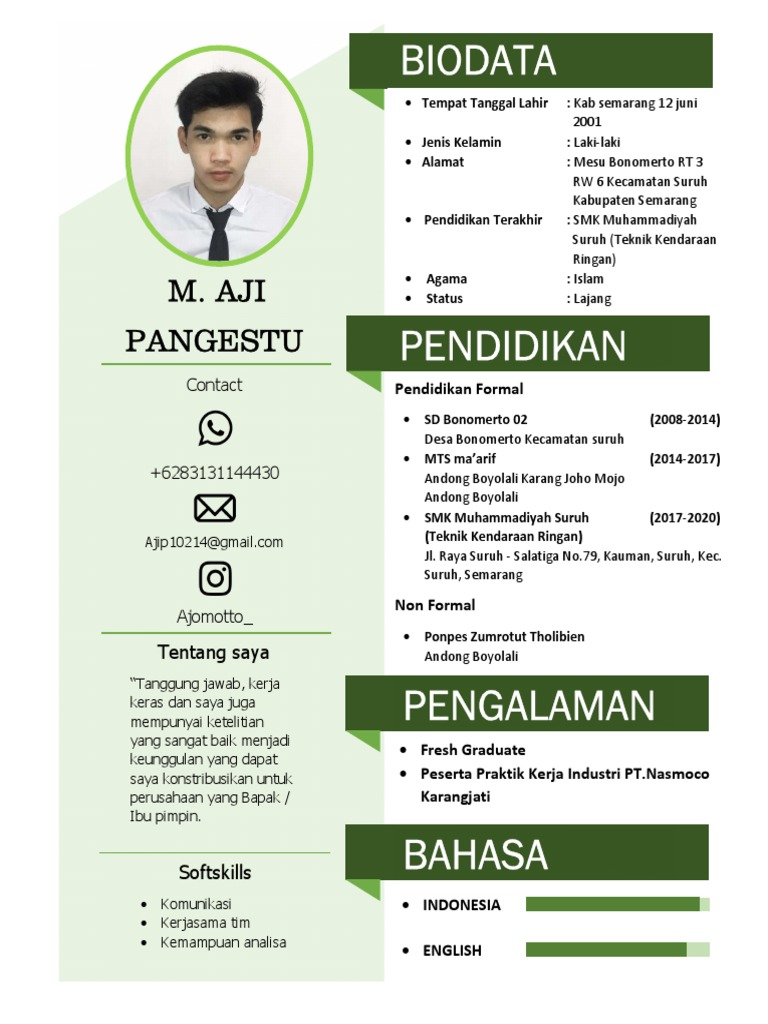 CV Aji Pangestu | PDF