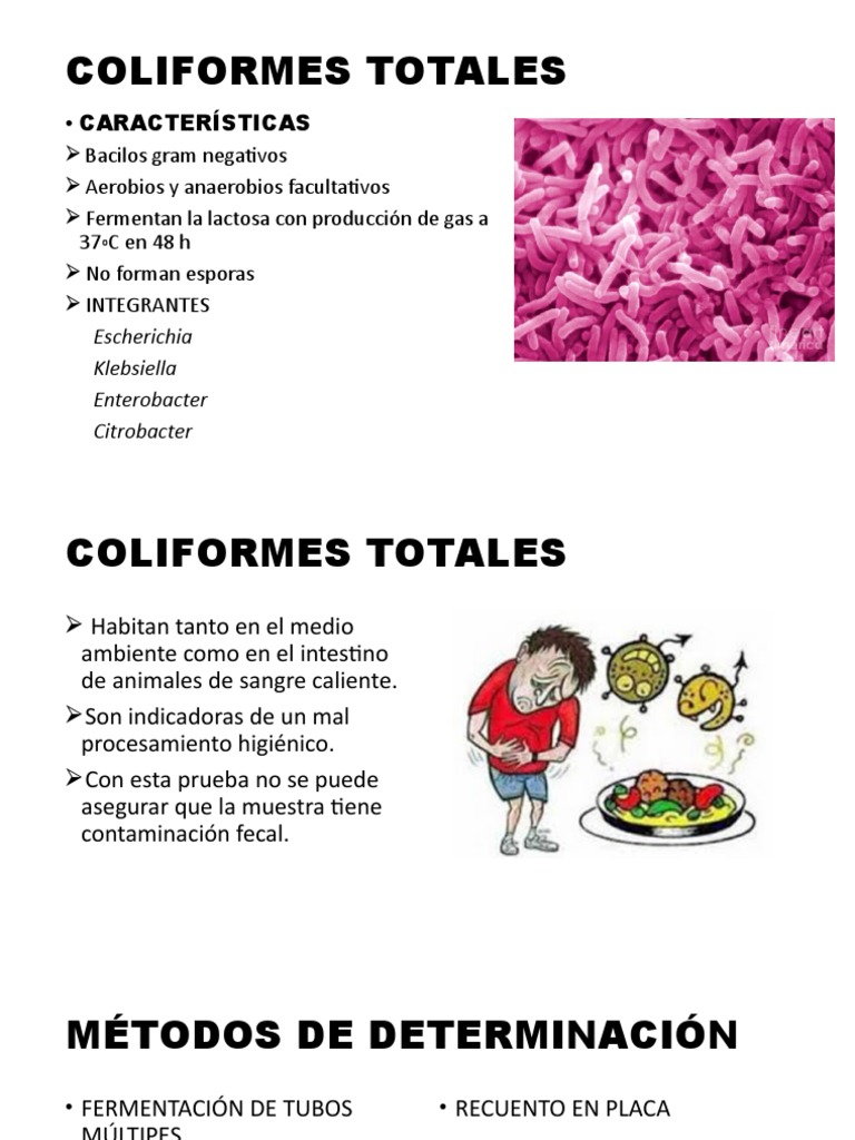 Determinación de Coliformes Totales 5 | PDF | Microorganismo | Procariota