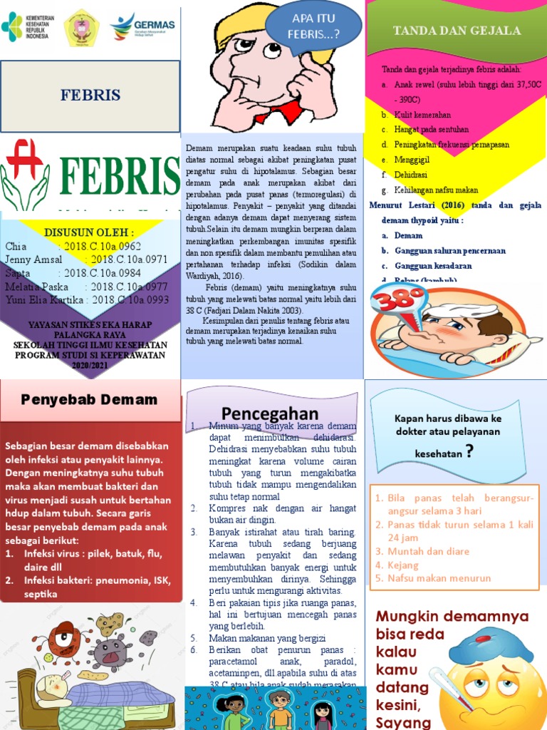Leaflet Febris | PDF