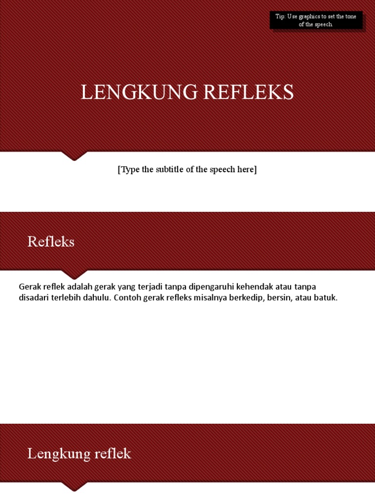 Lengkung Refleks | PDF