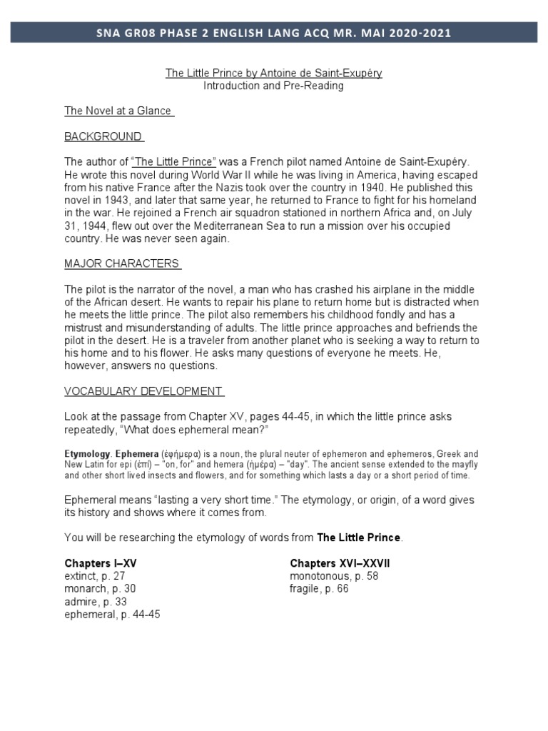 The Little Prince Intro Task | PDF