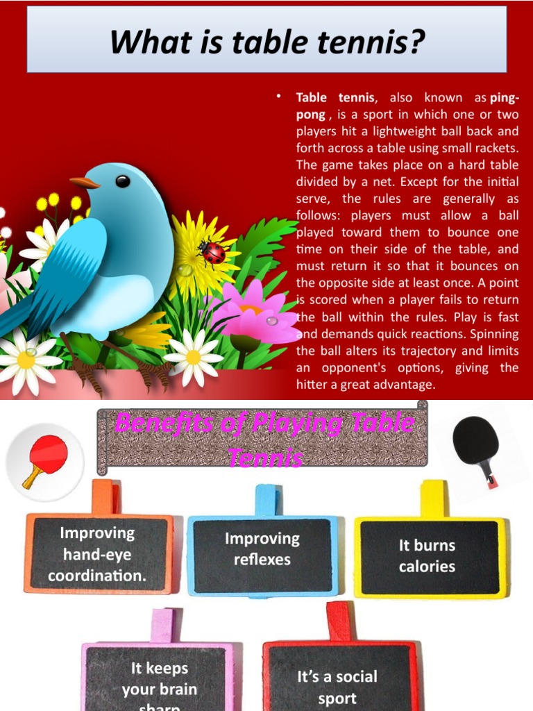 All About Table Tennis | PDF | Table Tennis | Ball Games