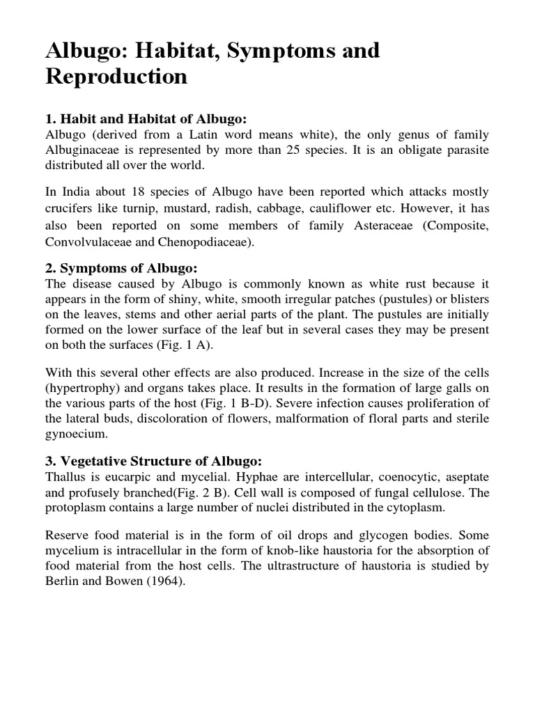 Understanding Albugo: Habitat, Symptoms, Vegetative Structure, and ...