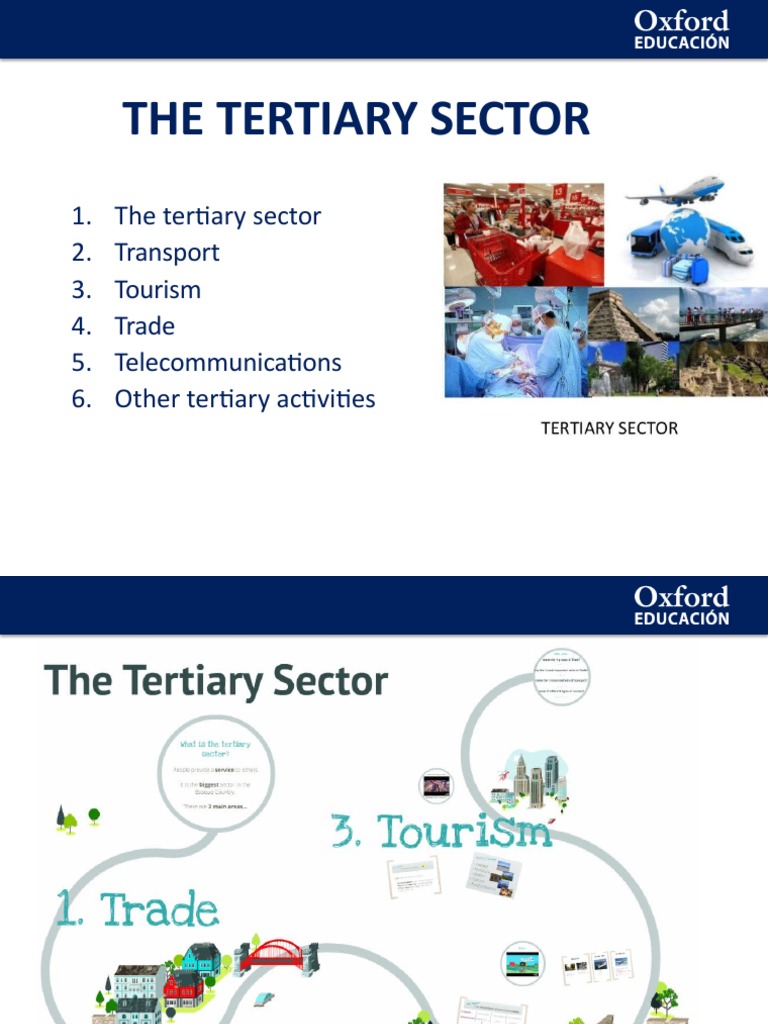 Tertiary Sector Presentation | PDF | Telecommunication | Tourism