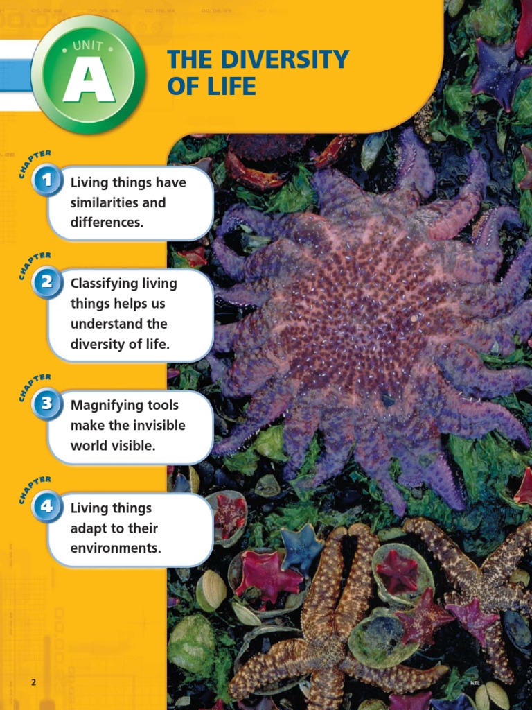 Science Probe 6 - The Diversity of Life | PDF | Experiment | Leaf