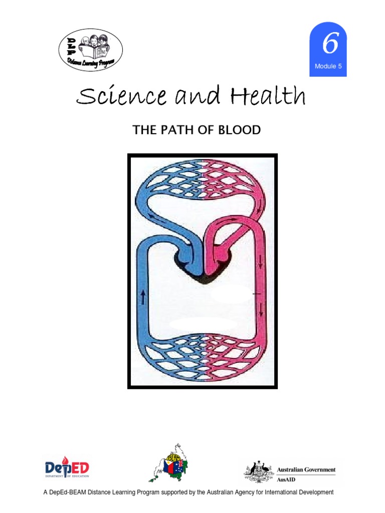Blood Flow Pathways in the Heart | PDF | Heart | Circulatory System