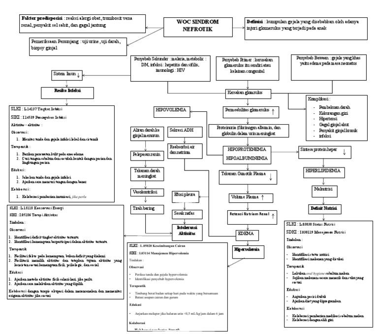 WOC Sindrom Nefrotik Kep. Anak | PDF