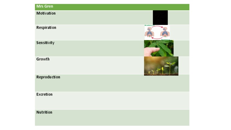 Mrs Gren Motivation Respiration Sensitivity Growth Reproduction ...