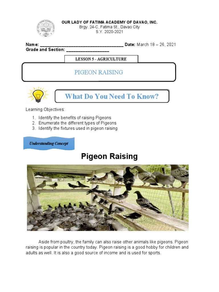 Epp 4 Module Week 9 10 | PDF