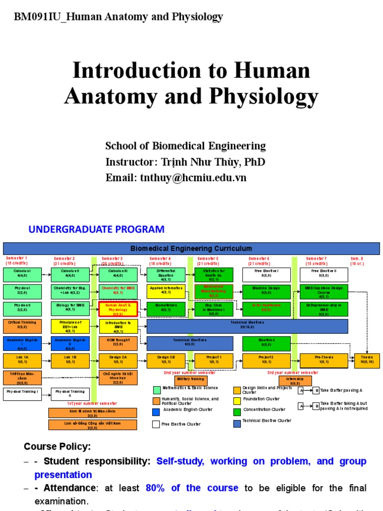 1 - Introduction To Human Anatomy and Physiology | PDF | Anatomy ...