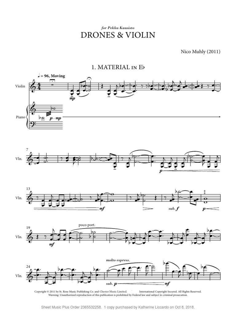 Drones & Violin | PDF | Performing Arts | Sound