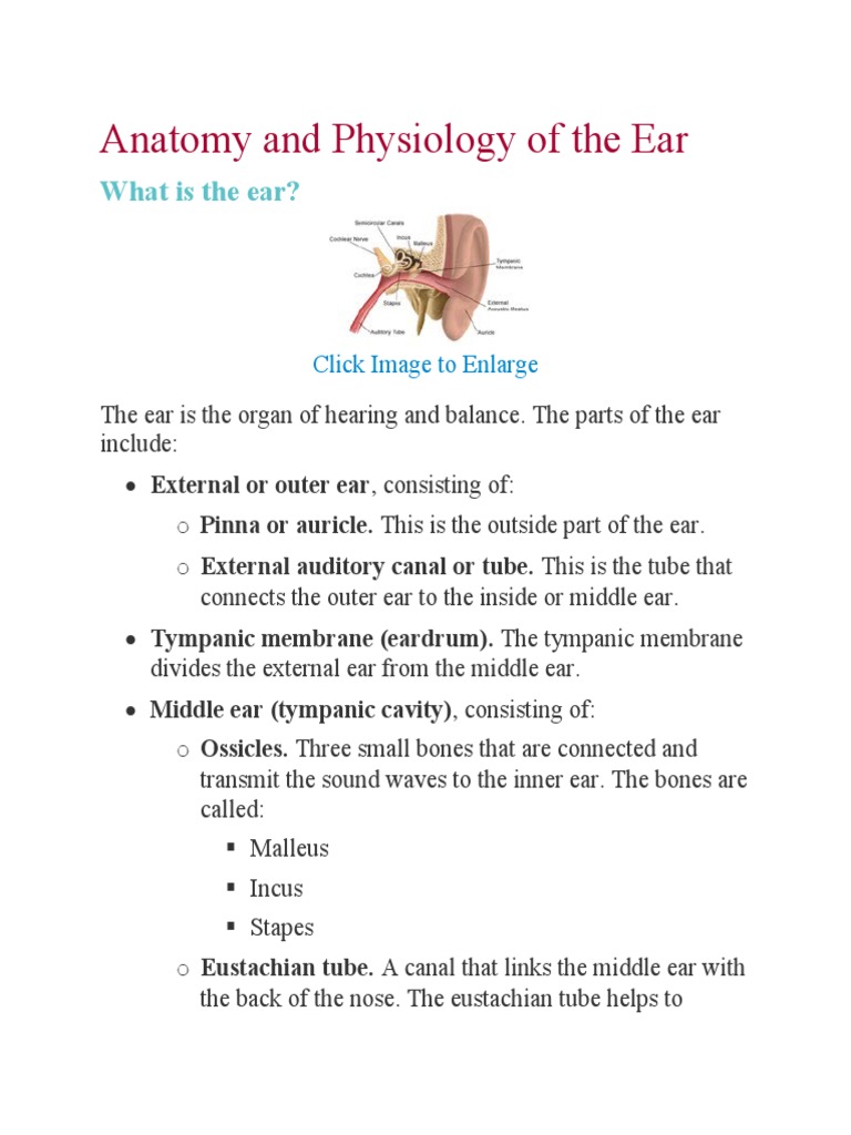 Anatomy and Physiology of the Ear - Copy | PDF