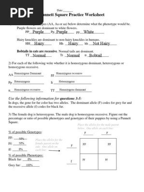 Punnett Square Practice Answer Key