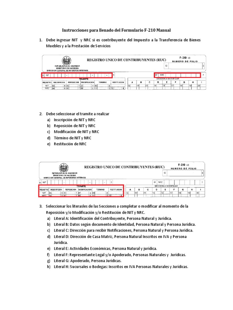 Instrucciones para Completar El RUC F210 Manual | PDF | Gobierno | Business