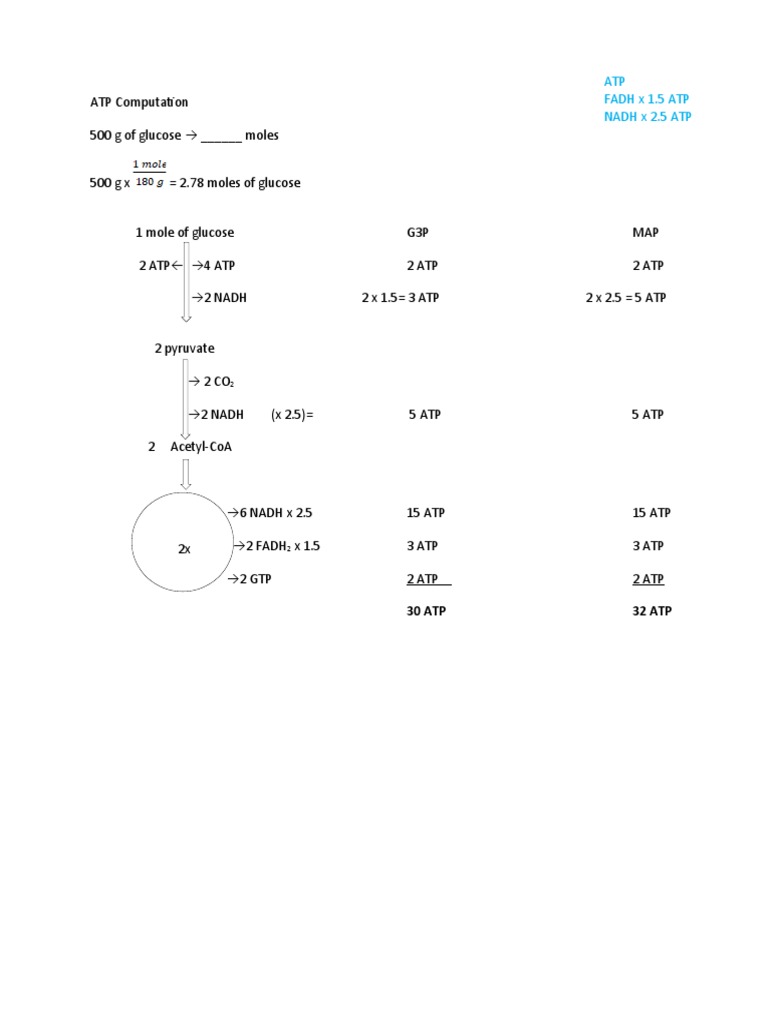 ATP Calculation Breakdown | PDF