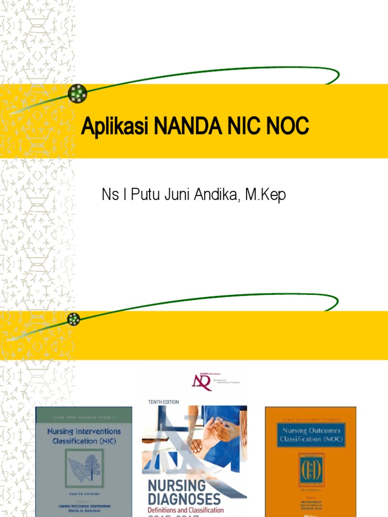 NANDA NIC NOC Nursing Guide | PDF